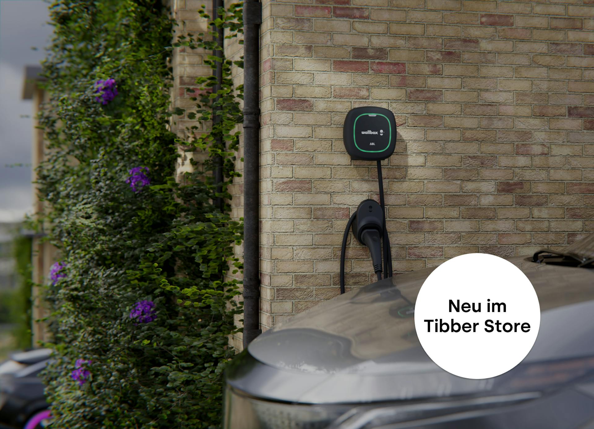 Mache dein Zuhause smarter mit Power-ups ⚡️ Tibber Store