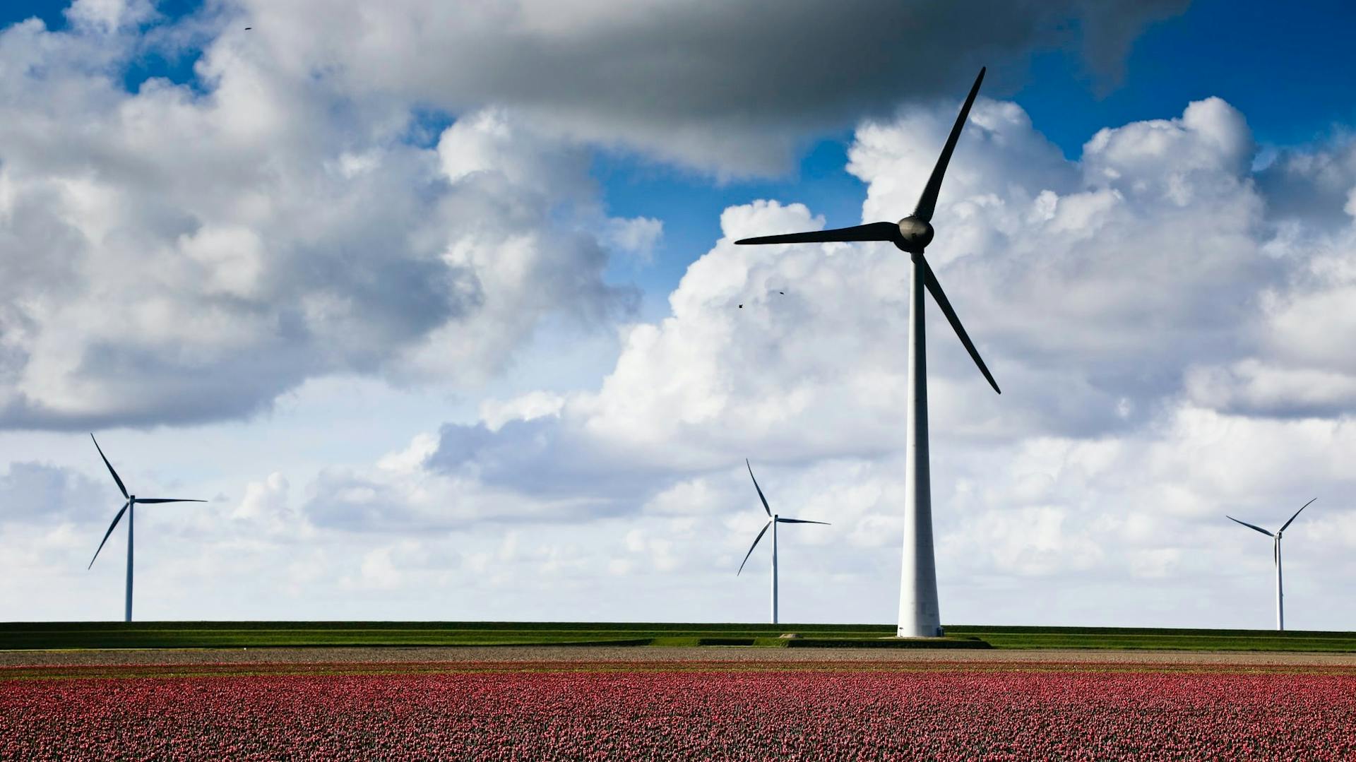 Deine Vorteile bei Tibber mit einem Smart Meter!